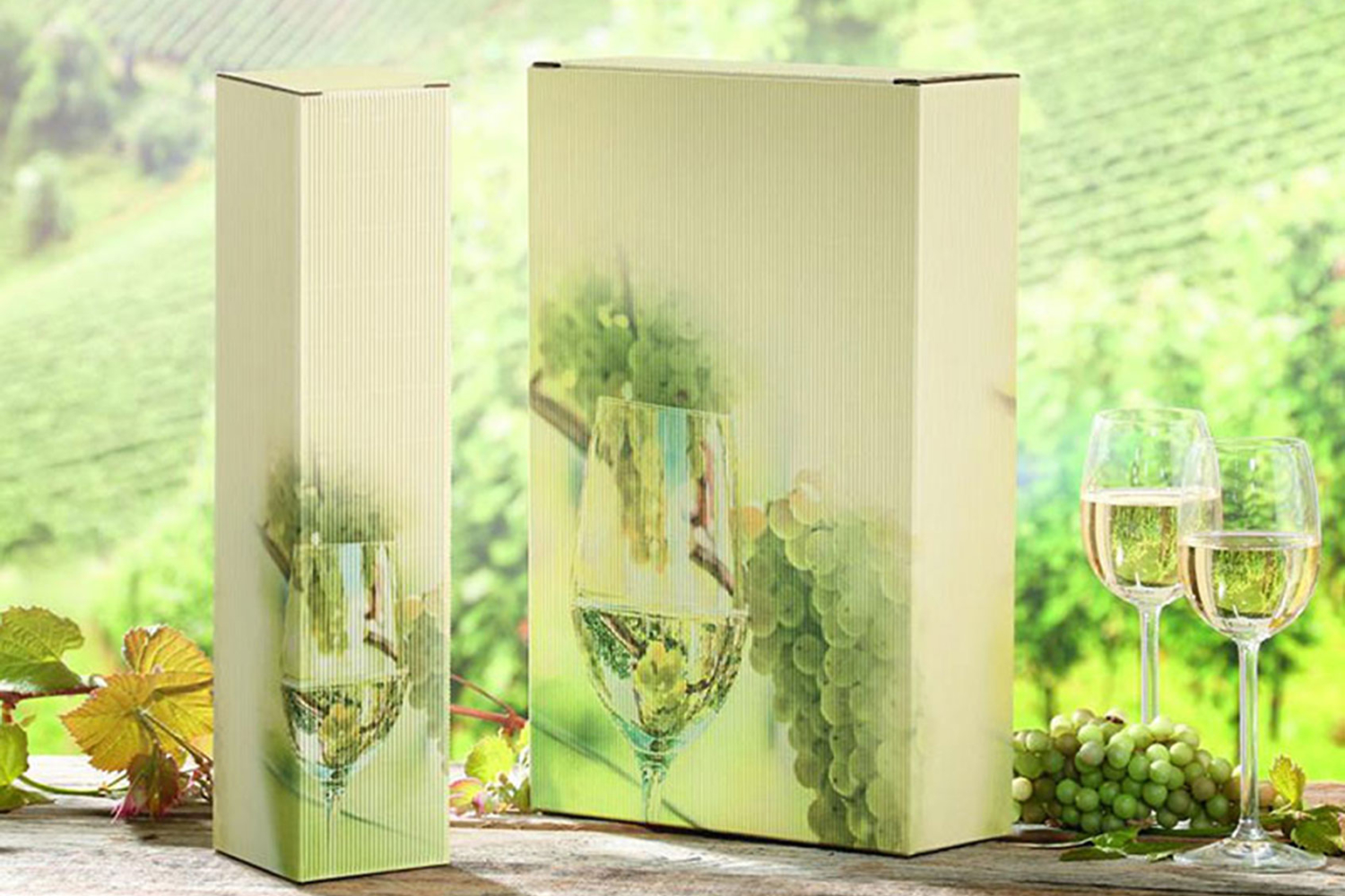 Delta SPC 130 - Koenig & Bauer Durst Digital Packaging Print